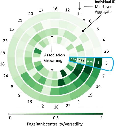 Figure 1 From The Use Of Multilayer Network Analysis In Animal Behaviour Semantic Scholar