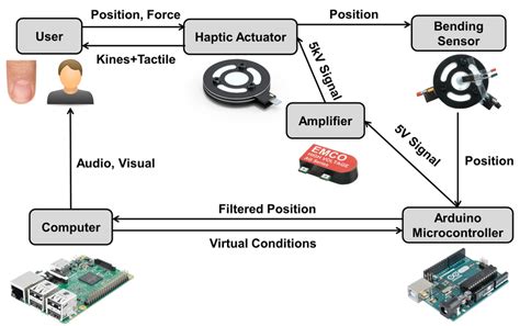 11 Proposed Flow Of Haptic Interaction Between User And Computer Download Scientific Diagram