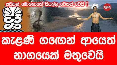 කැළණි ගගෙන් ආයෙත් නාගයෙක් මතුවෙයි Youtube