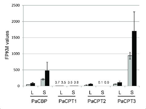 Rna Seq Analysis Of Pacbp And Pacpt1 3 Fpkm Fragments Per Kilobase
