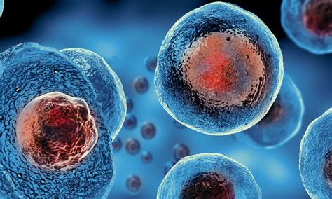 Decoding Cell Therapy Variants With Dr Andy Bader James Wang Phd