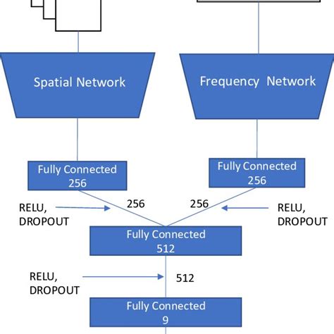 Architecture Of The Multi Domain Cnn Download Scientific Diagram