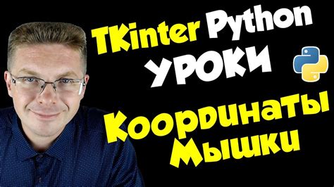 Уроки Python Как определить координаты мышки модуль Tkinter Youtube