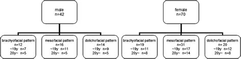 Distribution Of Sex And Facial Pattern Among Total Patients Download Scientific Diagram