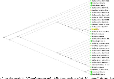 Figure 2 From Production And Optimization Of Xylanase By Thermophilic Bacillus Sp Isolated From