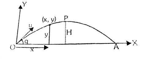 The Equation Of Projectile Is Y Sqrt 3 G 2x 2 The Angle Of Its Projection Is
