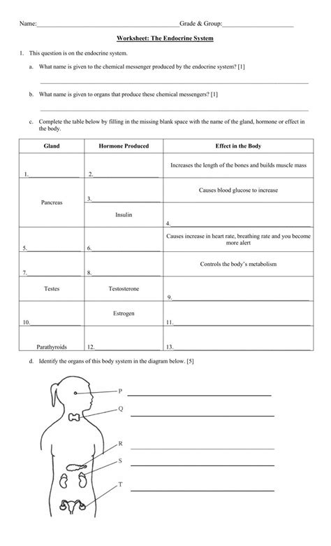 Human Nervous System Worksheet Artofit