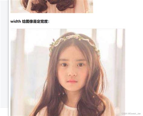 html图像标签详解 csdn博客