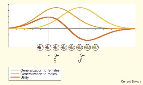 Cognition And Evolution Learning And The Evolution Of Sex Traits Current Biology
