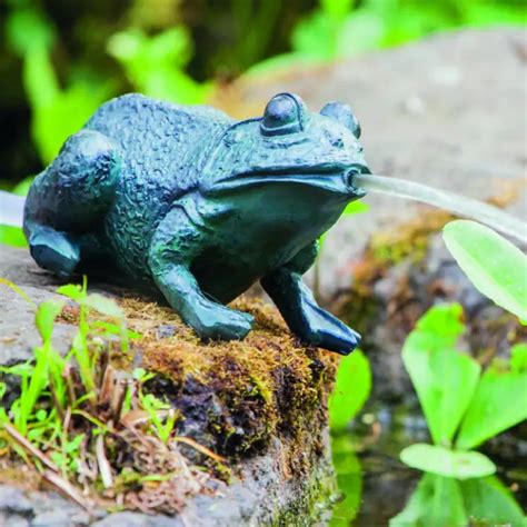 Heissner Teichfigur Mit Speierfunktion Frosch 14 X 22 X 12 Cm Kaufen