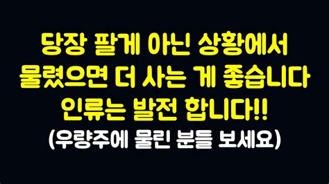 장기투자자라면 손절 할 거 아니면 계속 모으세요 Youtube