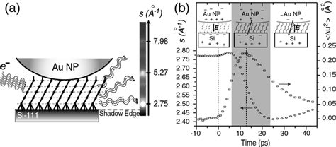 Electron Diffraction From A Molecular Wire A Schematic Download Scientific Diagram