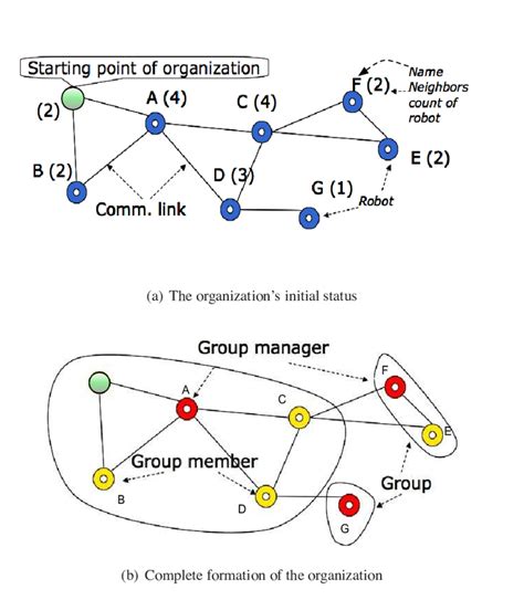 example of organization formation download scientific diagram