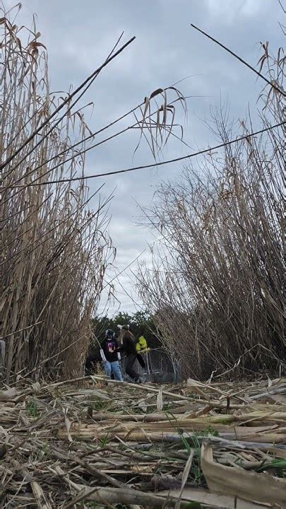 Twisted Vee Remake 😱 Roblox Robloxedit Funny Memes Redesign Vee