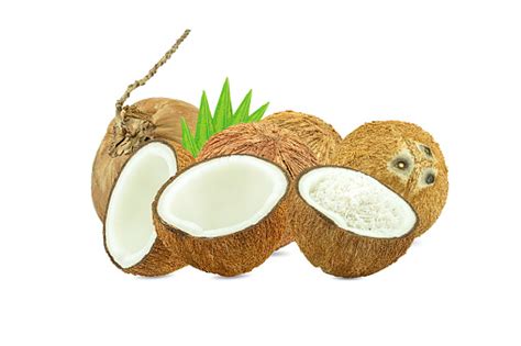 코코넛 조각은 흰색 배경에 고립 건강 식품 스킨 케어 컨셉 갈색에 대한 스톡 사진 및 기타 이미지 갈색 건강한 생활방식 건강한 식생활 Istock