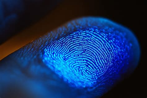 Biometric Security Fingerprint Scanning For Enhanced Access Control And Identification Solutions