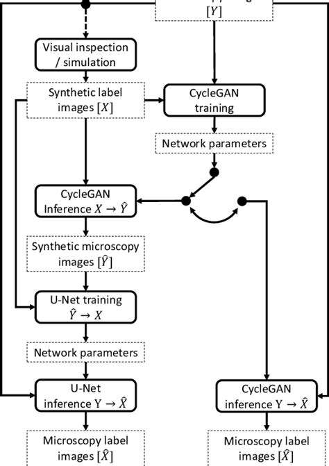 segmentation pipeline utilizing a cyclegan the cyclegan can directly download scientific