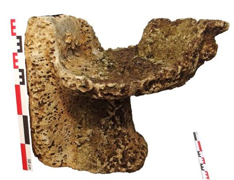 В р Камчия откриха куп уникални артефакти и мистериозен изчезнал остров СНИМКИ ᐉ Новини от