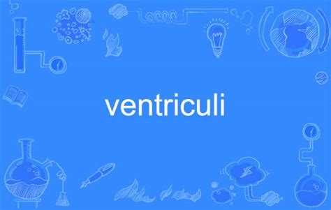 Ventriculi百度百科