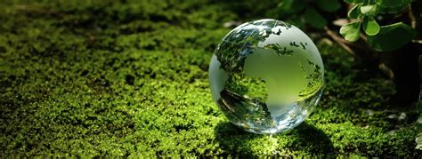 Free Transfer Of The Ueh Global E Learning System Learning Management System Lms Đại Học