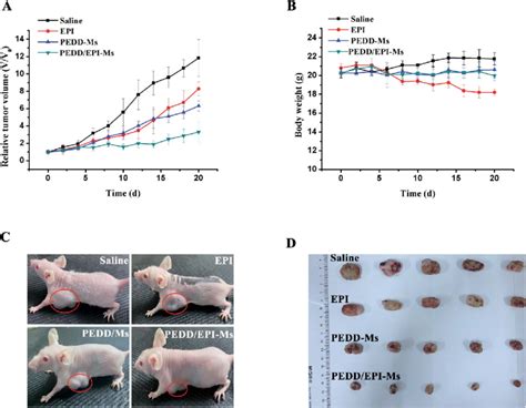 Peddepi Ms Improved Epi Based Therapy In Vivo Relative Tumor Volume