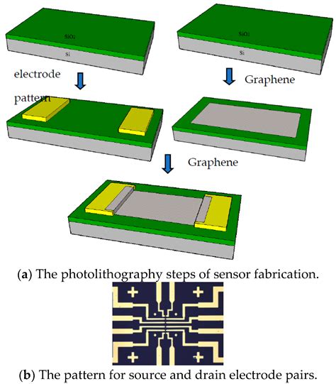 Graphene Based Fet Biosensor For Organic Phosphorous Sample Detection And The Enzymatic Analysis
