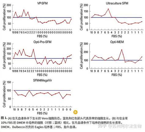 Vero细胞无血清悬浮培养技术验证 知乎