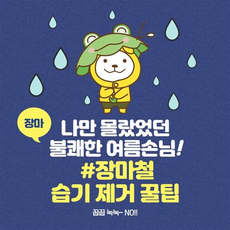 나만몰랐었던 장마철 습기제거 꿀팁 인스티즈instiz 이슈 카테고리