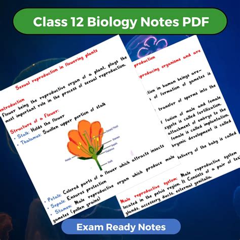 Class 12 Biology Notes Pdf Download 2025 2026 Exam Ready Colourful