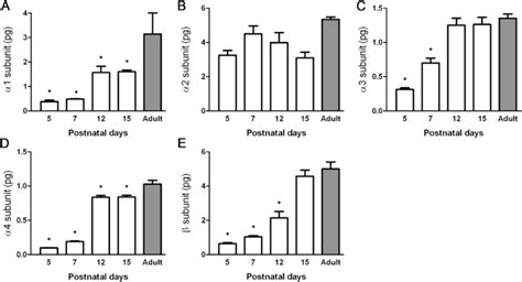 Mrna Expression Levels Of The A A1 A4 And B Glyr Subunits During The