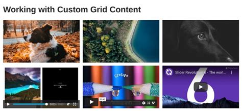 Working With Custom Grid Content Essential Grid Wordpress Gallery Plugin