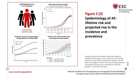 Solution The Future Directions Of Screening For Atrial Fibrillation