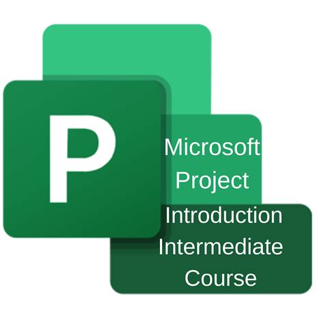 Microsoft Project Introduction Course Perth Mine Training Australia