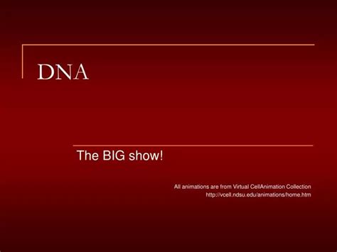 PPT DNA PowerPoint Presentation Free Download ID 862614