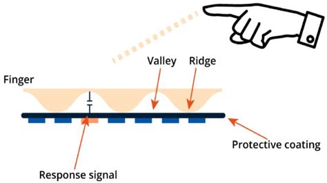 Fingerprint Systems Sensors Image Acquisition Interoperability And