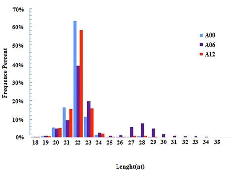 Size Distribution Of Sequencing Reads In Three Libraries Different