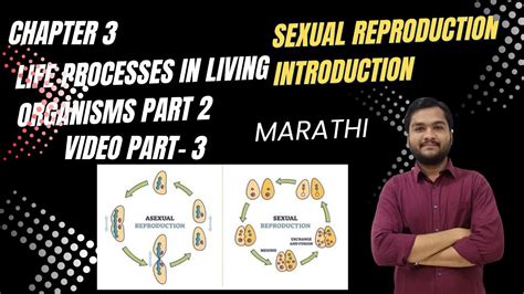 Class 10 Life Processes In Living Organisms Part2 Sexual Reproduction