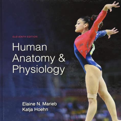 Human Anatomy And Physiology 11th Edition By Elaine Marieb Au Inspire