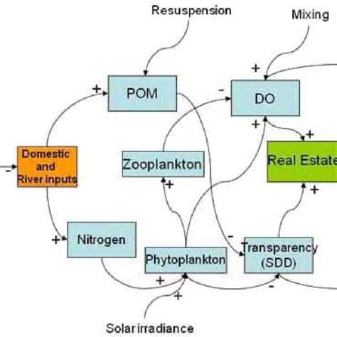 The Feedback Loop Involving The Ecosystem Social And Economic Ese