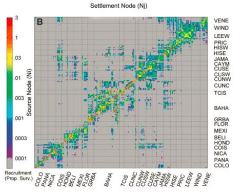 Example Of A Connectivity Matrix Representing The Probability Download Scientific Diagram