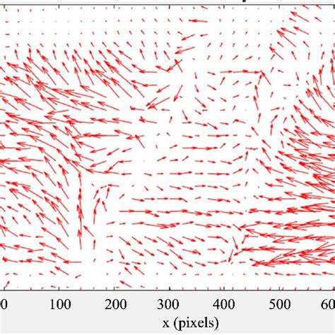 The Flow Field Obtained From The Cross Correlation Algorithm