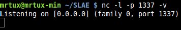 SLAE Shell Reverse TCP Shellcode Linux X RCE Security