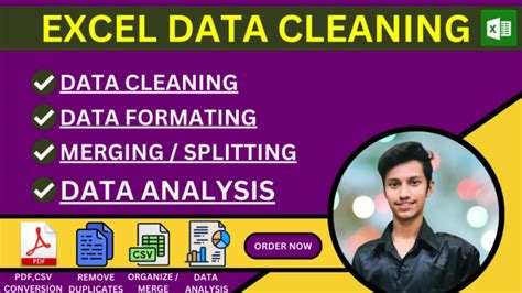 Do Data Cleaning Organize Format And Excel Data Analysis By A