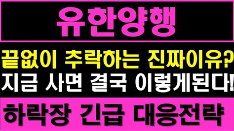 주식 제약바이오 유한양행 주가 끝없이 추락하는 진짜이유 지금 사면 결국 이렇게 된다 폭락장 긴급 대응전략 Fda 렉라자 Youtube