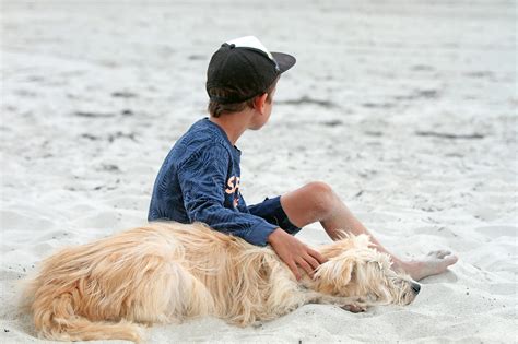 강아지와 아이 개 개 친구 개 휴식 걱정없는 하루 고요한 장면 금발 개 낮 레저 모래 모래 신발 모래놀이 모래사장 모험 물 바다 바다 경치