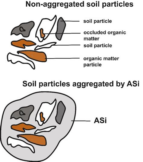 Conceptual Scheme Of Soil Particle Aggregation By Asi Precipitation