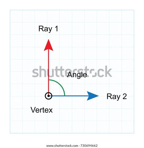 Types Angles On Blue Graph Background Stock Vector Royalty Free 730694662 Shutterstock