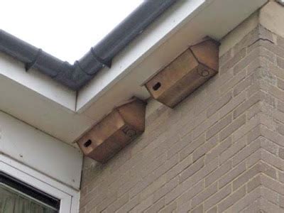 Action For Swifts Zeist Swift Box