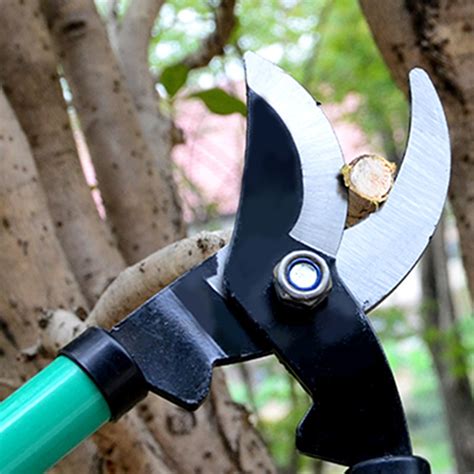 60cm Telescopic Pruner Gardening Tree Shears Pruni Grandado