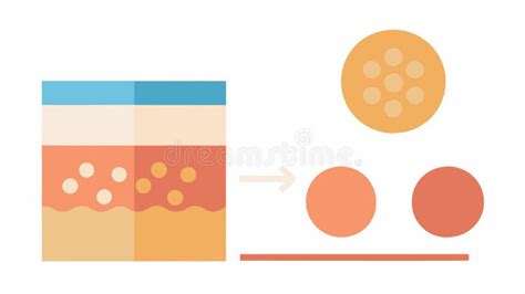 Particle Size Comparison Create A Simple Chart Comparing The Size Of Bb Cream Particles At The